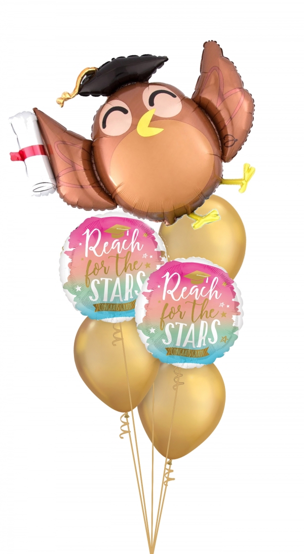 Owl Reach for the Stars Graduation Balloon Bouquet balloons vancouver ...